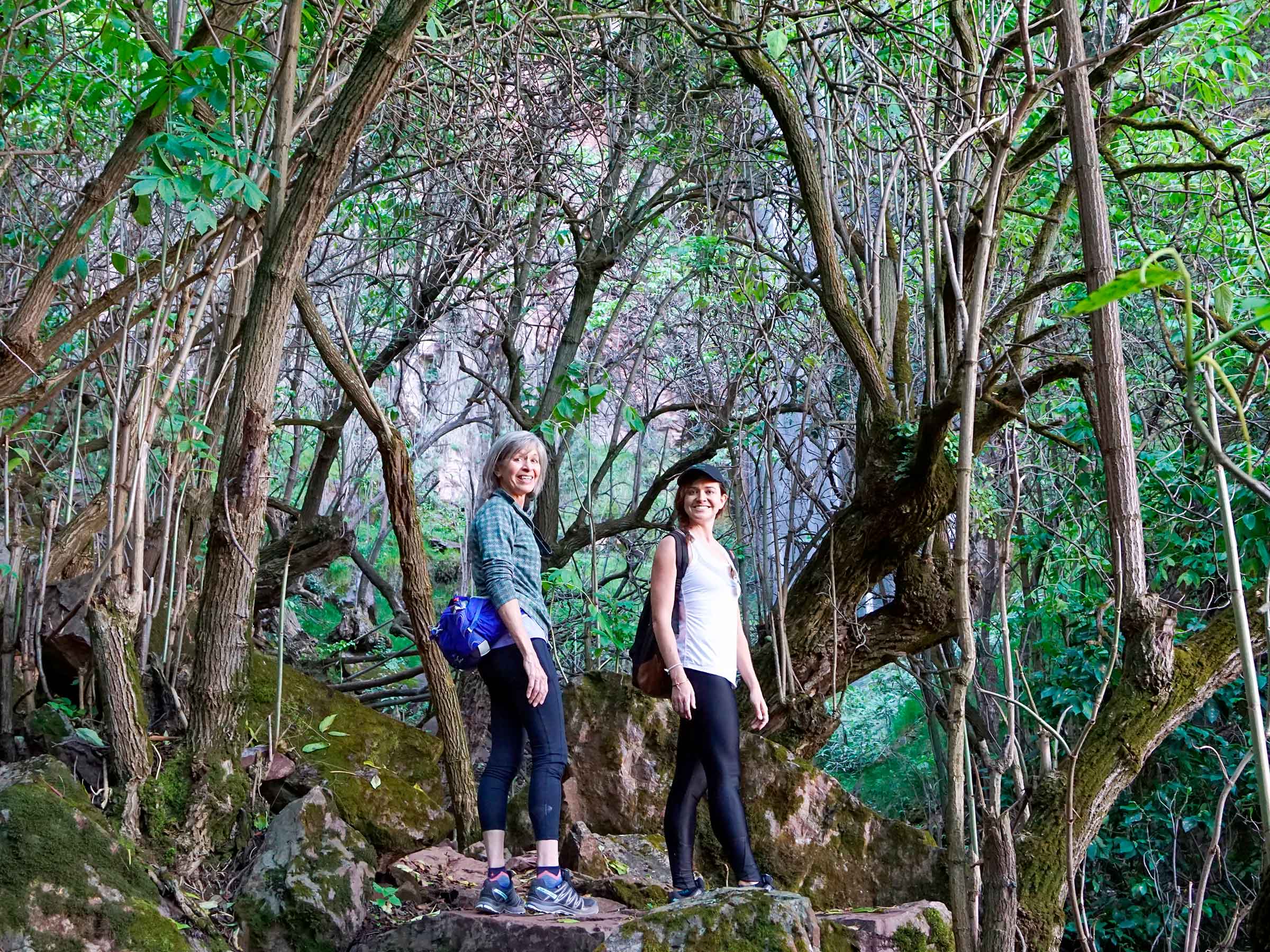 Dazzling Short Inca Trail by Ancascocha Trek 3 Day